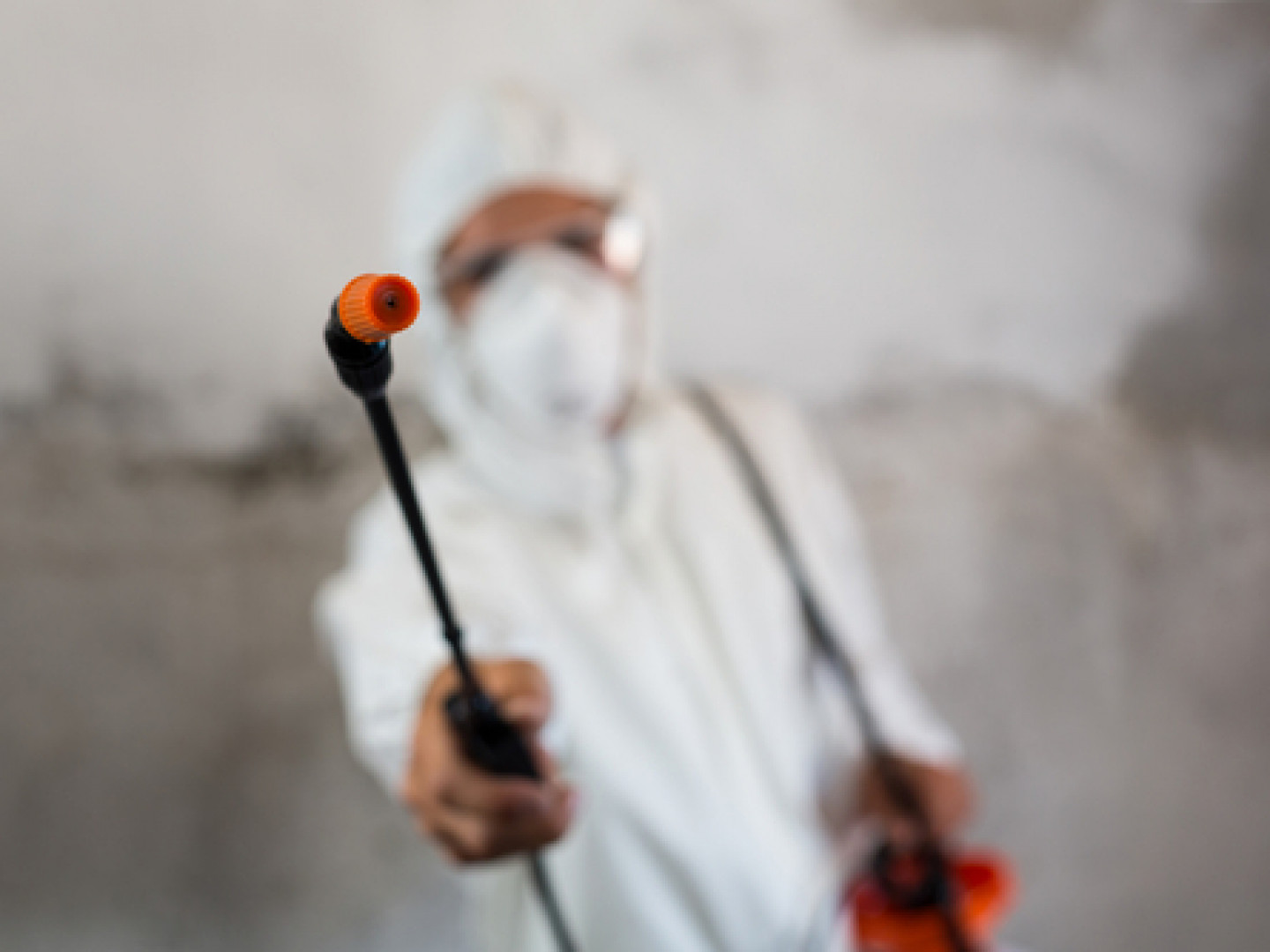 Commercial Pest Control | Brighton, Louisville & Thornton, CO | Pest ...